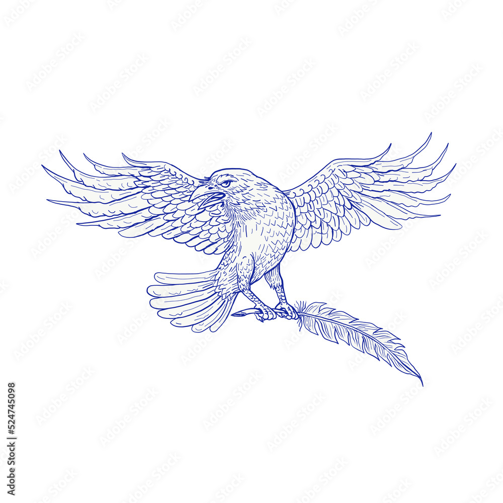 Raven Carrying Quill Drawing Stock Illustration | Adobe Stock