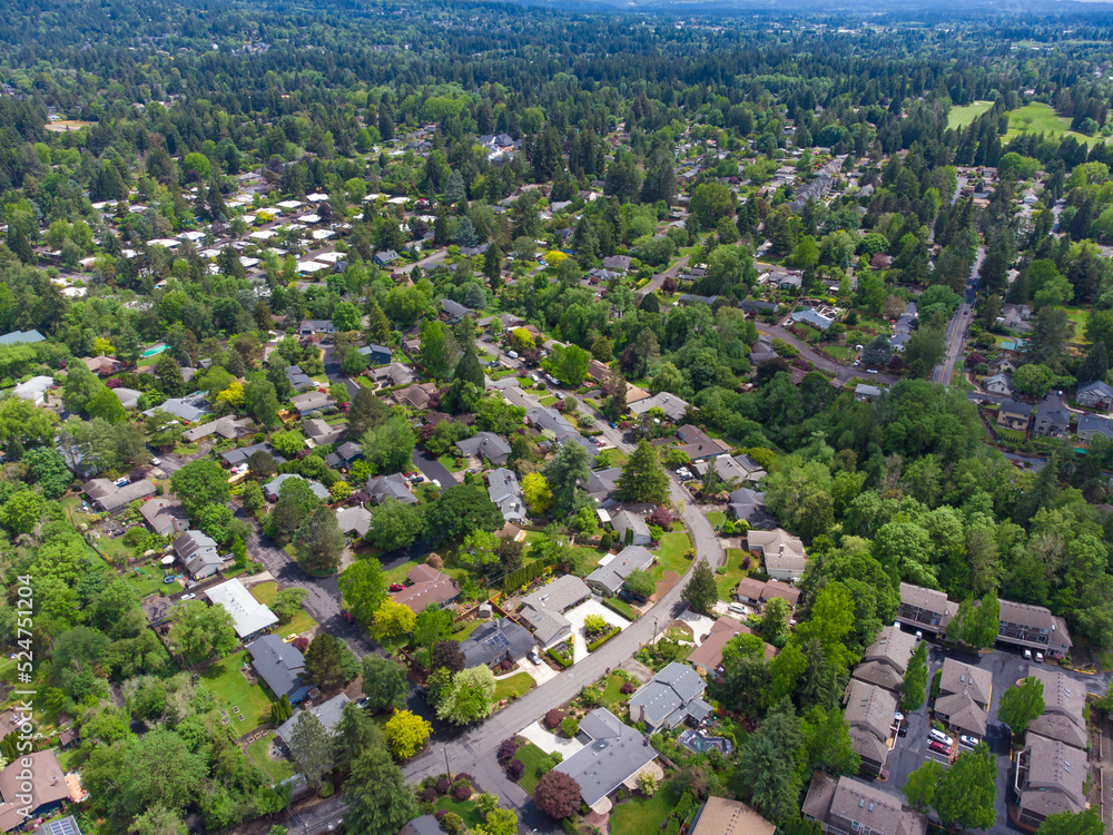 Aerial view of a provincial green town, immersed in greenery, located near a mountain range ...