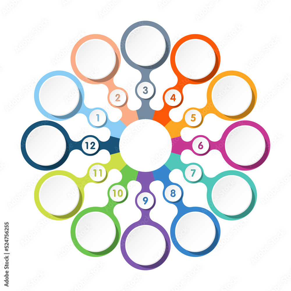 Basic circle infographic template with 12 steps, process or options ...