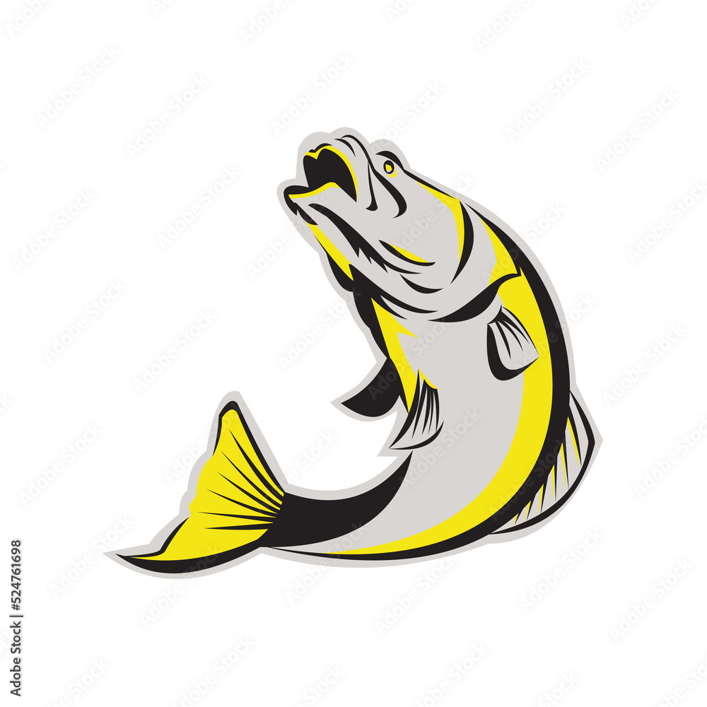 Barramundi Fish Jumping Up Isolated Retro Stock Illustration | Adobe Stock