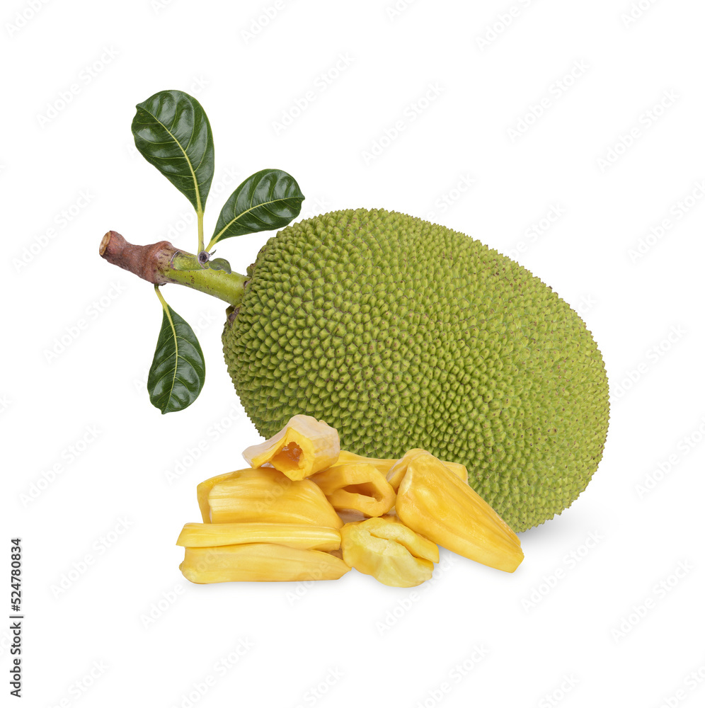 Ripe Jackfruit isolated on transparent background (.PNG) Stock Photo ...