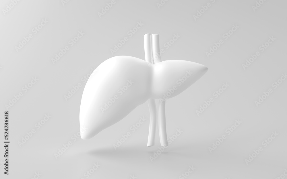 Human liver 3d isolated on white organ internal digestive background ...