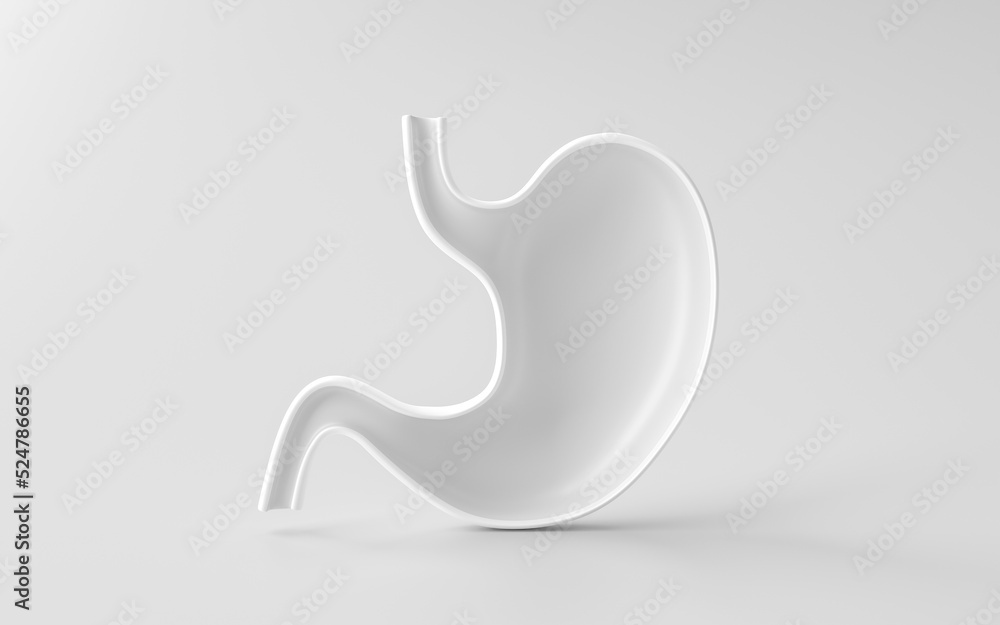 Blank human stomach 3d isolated on white digestion anatomy background ...