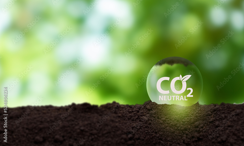 Carbon neutral sustainable development concept. Green industry. Net ...