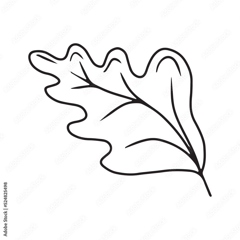 Line art of oak leaves. Minimal drawing of a green oak leaf in a sketch ...