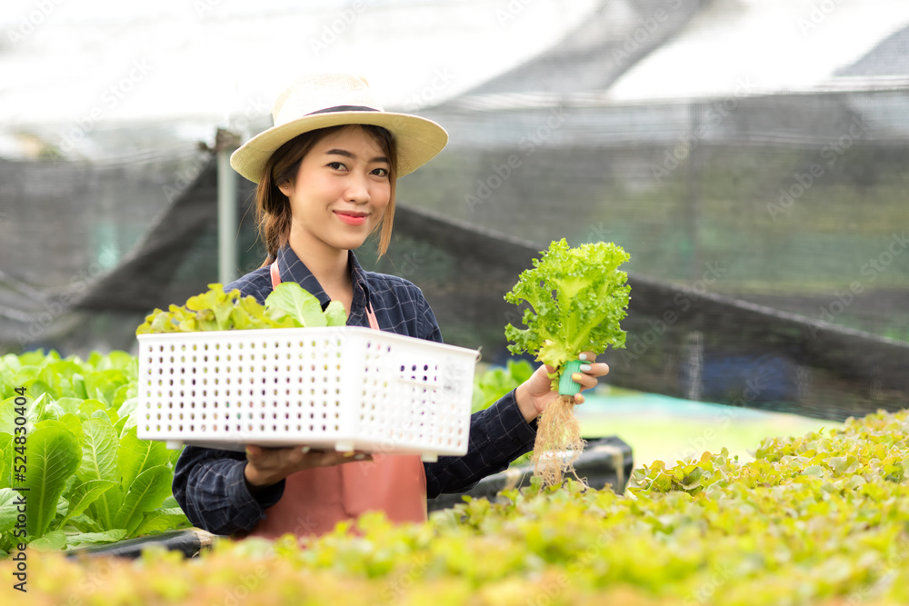 Owner farmer working and care vegetable or nurse growth plants ...