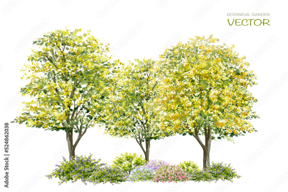 Vector watercolor blooming flower tree side view isolated on white ...