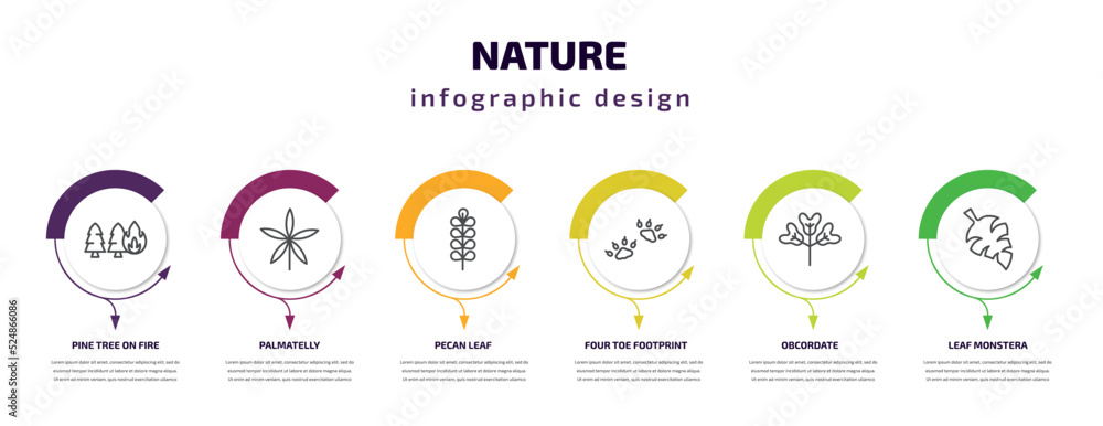 nature infographic template with icons and 6 step or option. nature ...