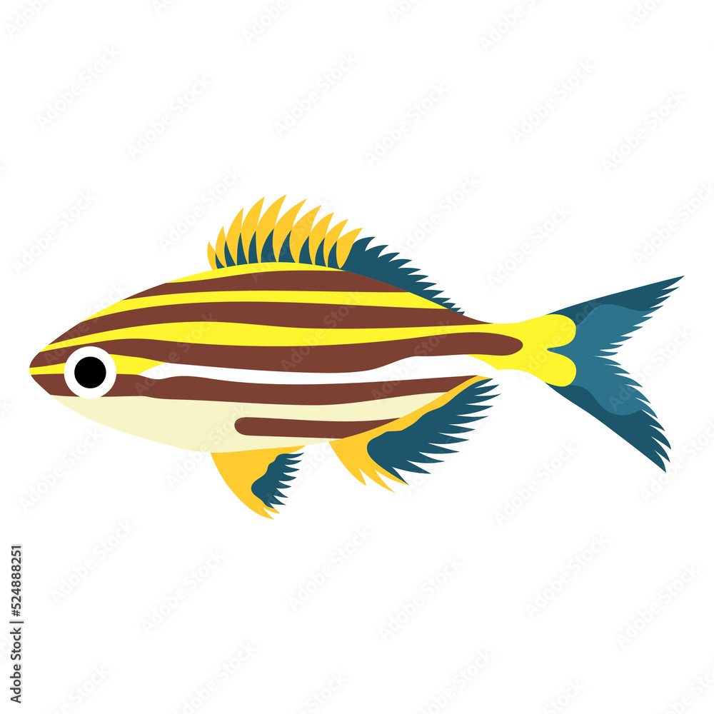microcanthinae or footballer fish. coral fish illustration. the hand ...