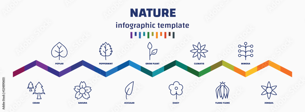 infographic template with icons and 11 options or steps. infographic ...