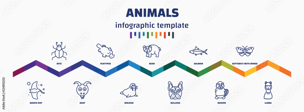 infographic template with icons and 11 options or steps. infographic ...