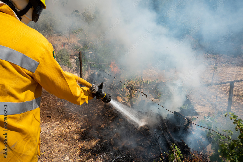 Bombeiro sapador com a mangueira a apagar um incêndio Stock Photo ...