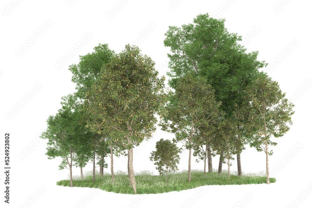 Forest on transparent background. 3d rendering - illustration Stock ...