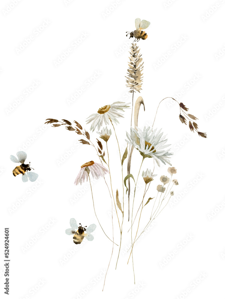 Boho wildflowers, herbs bouquet painted in watercolor. Dried pampas ...