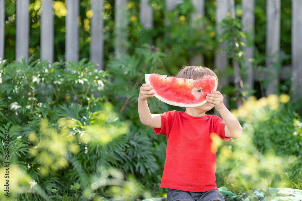 A little boy with a piece of watermelon is sitting on a blanket in the ...