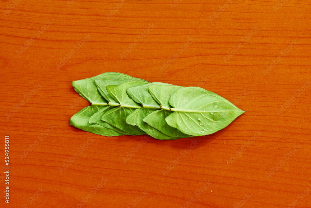 indian gujarati vegetable food leaves colocassia leaves also known as ...