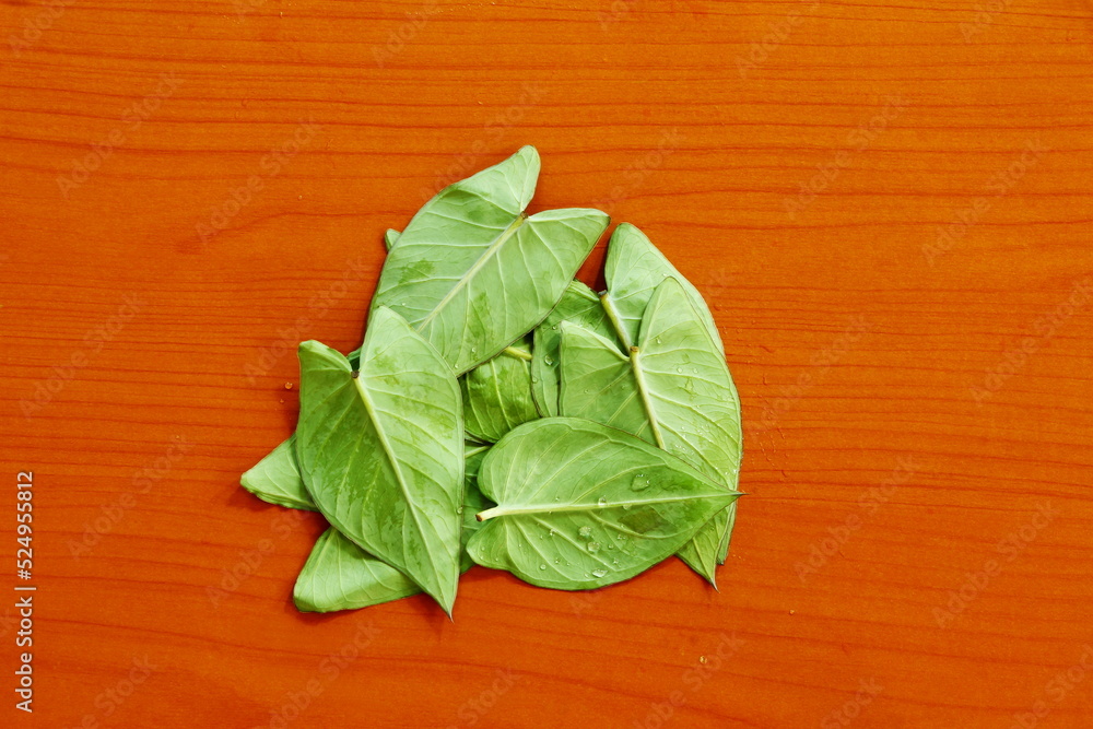 indian gujarati vegetable food leaves colocassia leaves also known as ...