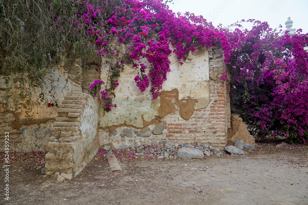 Santo Domingo de Chincha, called Chincha Alta to distinguish it from ...