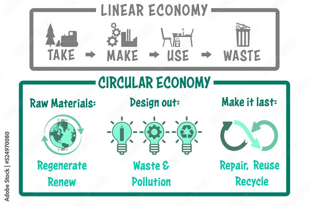 Linear and Circular Economy illustrated, regenerative sustainable ...