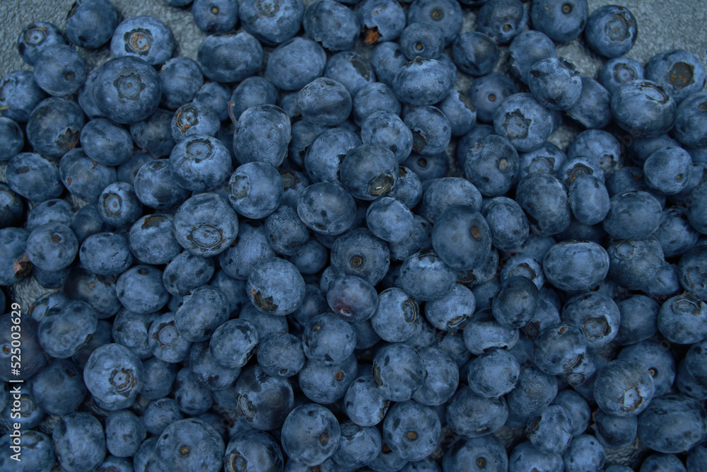 Blueberry flat lay photo. Close up of blueberries texture. Top view of ...