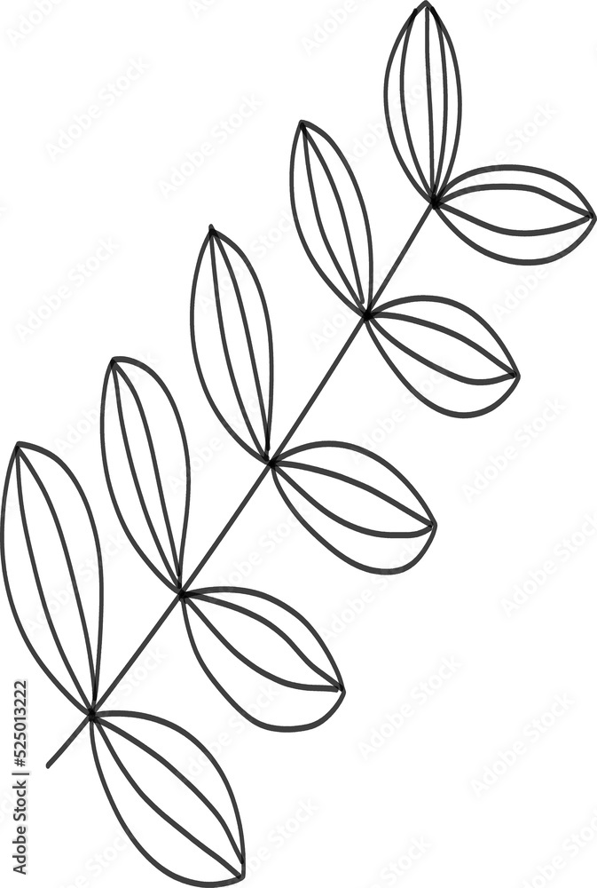 Leaf line drawing, line art leaves, transparent background. Stock ...