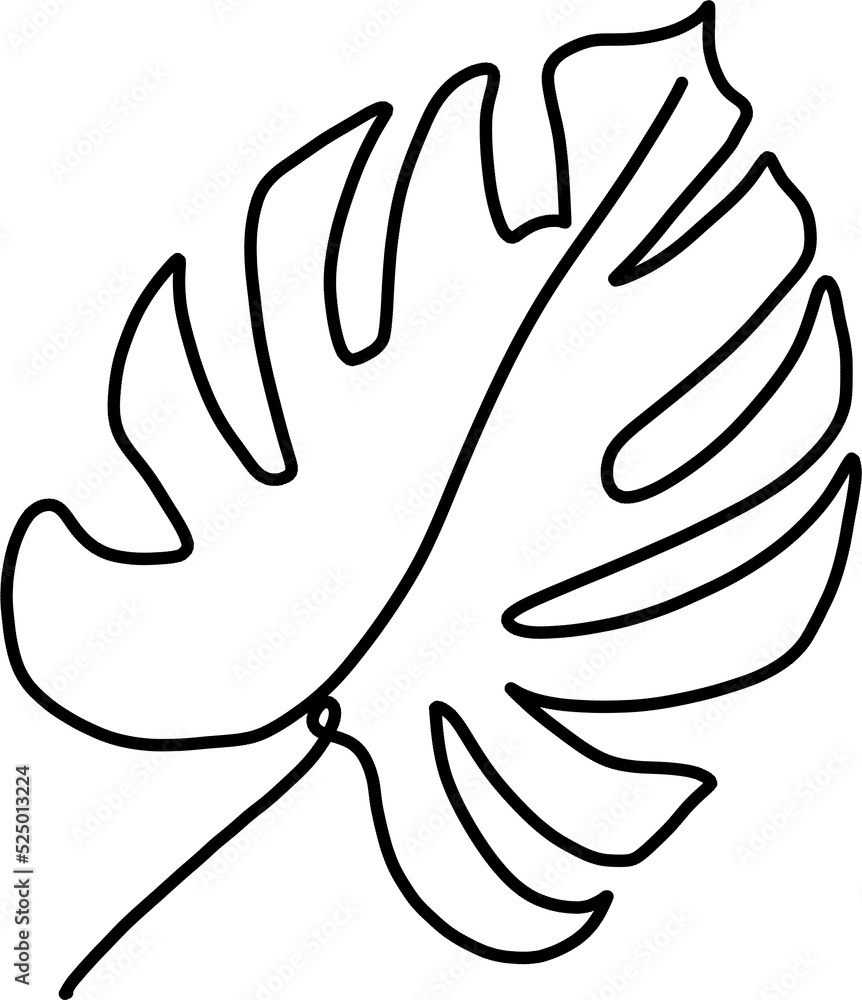 Leaf line drawing, line art leaves, transparent background. Stock ...
