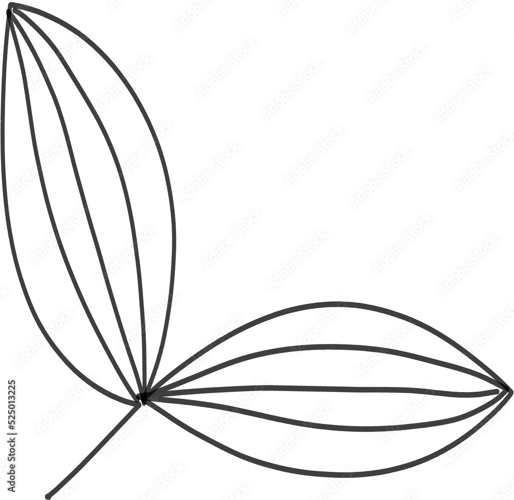 Line drawing leaves, line art, transparent background. Stock ...