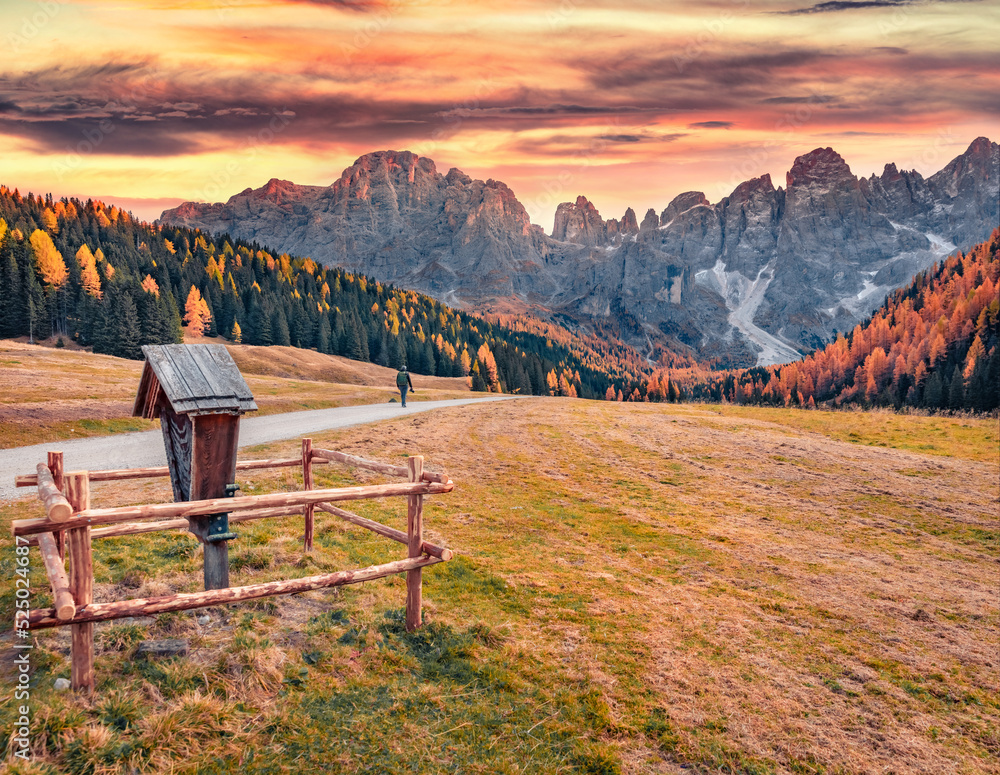 Photographet walks on the country road in Venegia valley, high altitude ...