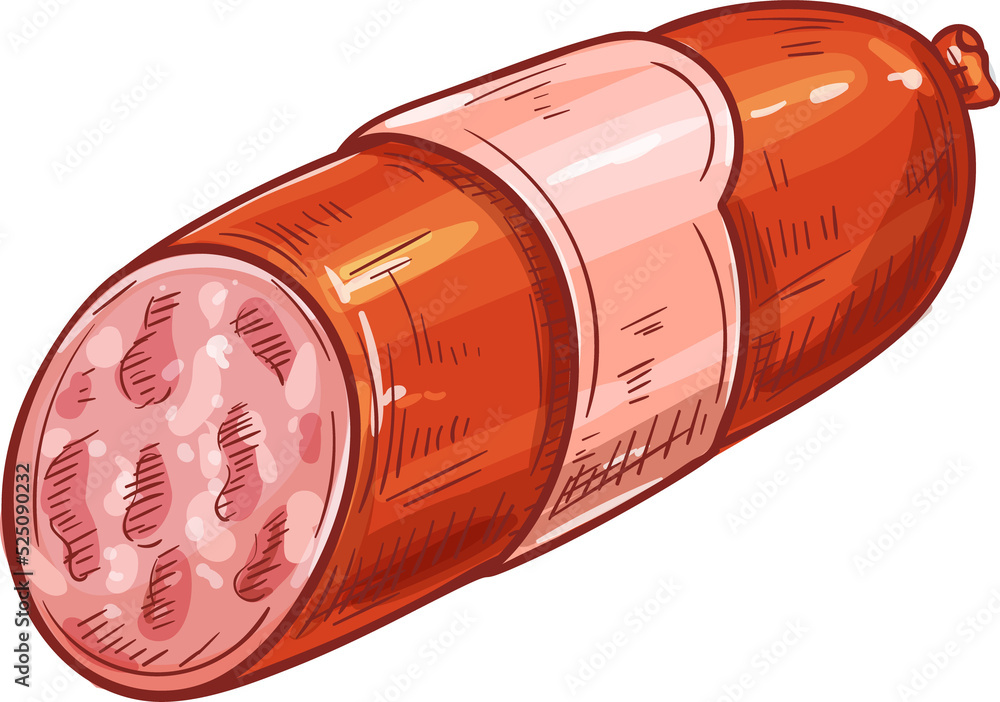 Salami isolated meat sausage sketch, butchery food Stock Illustration ...