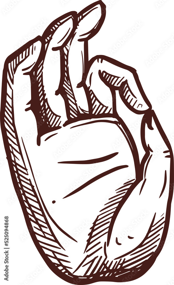 Hand ok sign in yoga mudra isolated Dhyana-Mudra sketch. Vector okay ...