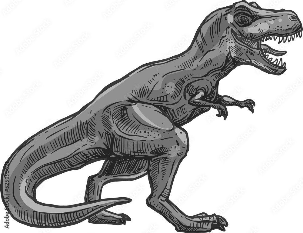 Photo & Art Print Tyrannosaurus T-rex isolated grey dinosaur sketch ...