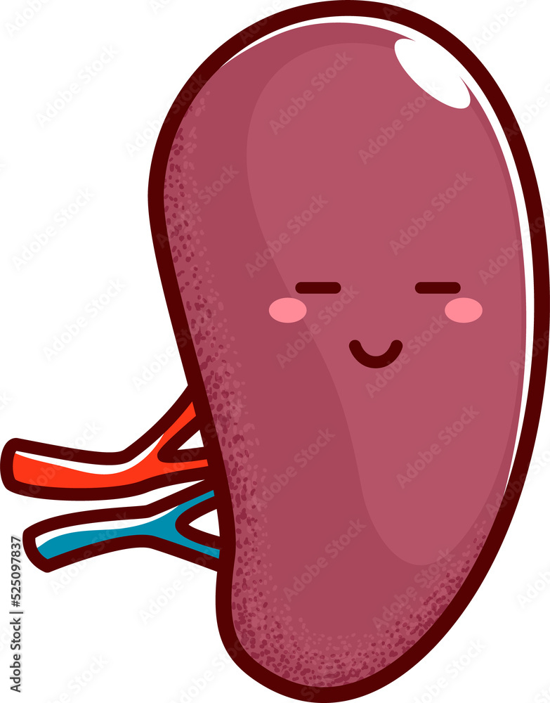 Cartoon character, happy smiling healthy kidney Stock Illustration ...
