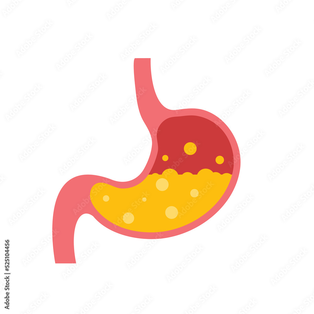 Stomach icon. The stomach contains gastric juice to aid digestion and ...