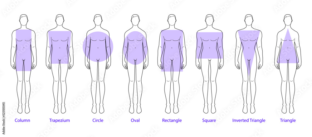 Set of Men body shape types: triangle, column, trapezium, circle, oval ...
