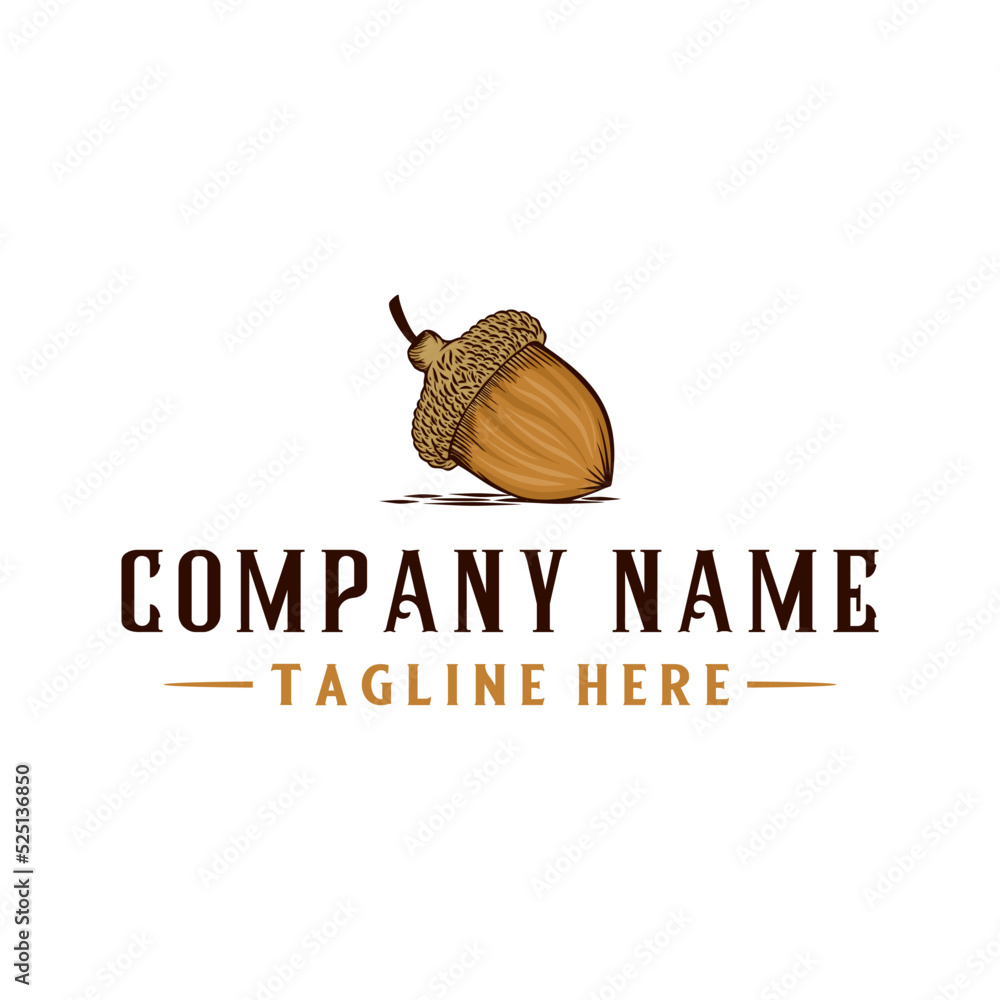 Logo Vector design Illustration of acorns. acorn concept in vintage ...