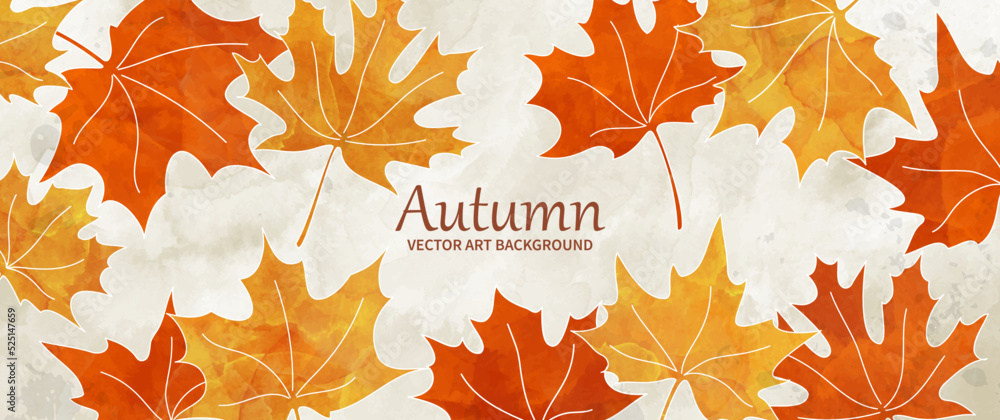 Autumn foliage vector watercolor background. Maple leaves. Hand drawn ...