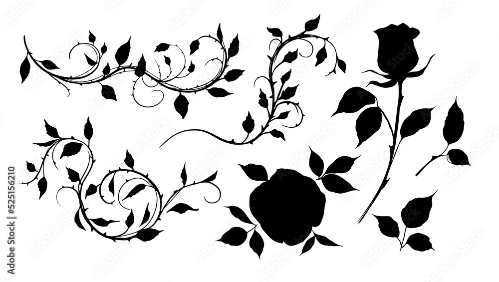 Rose Silhouette Border