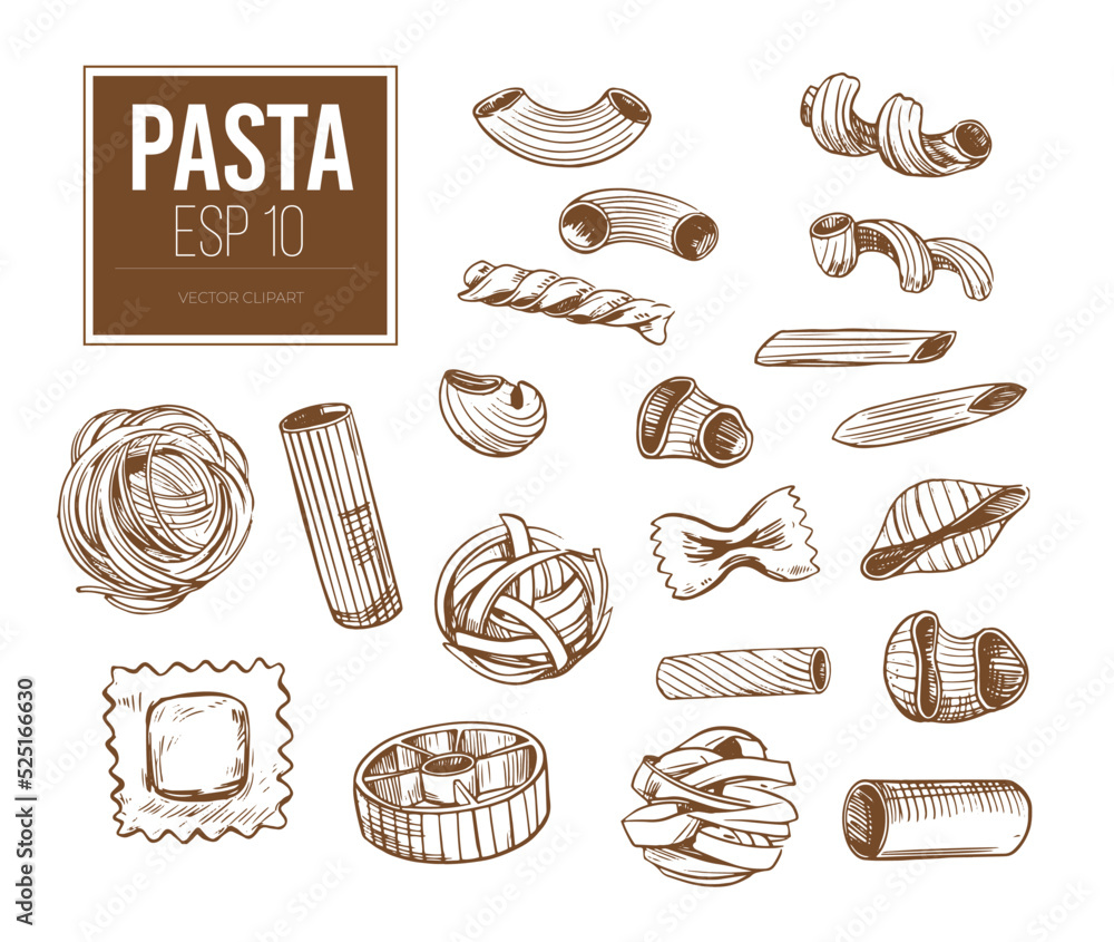 Sketch of types of pasta. Vector clipart. Outline Objects on white ...