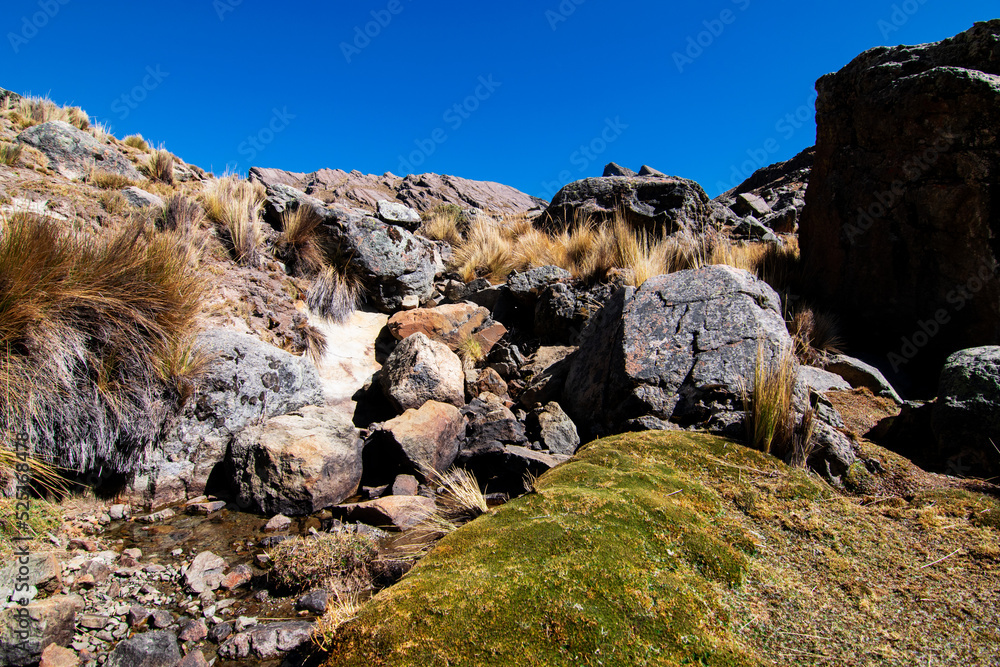 Andes mountains in Cochabamba Bolivia Stock Photo | Adobe Stock
