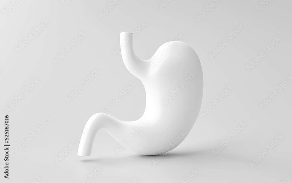 Blank human stomach 3d isolated on white digestion anatomy background ...