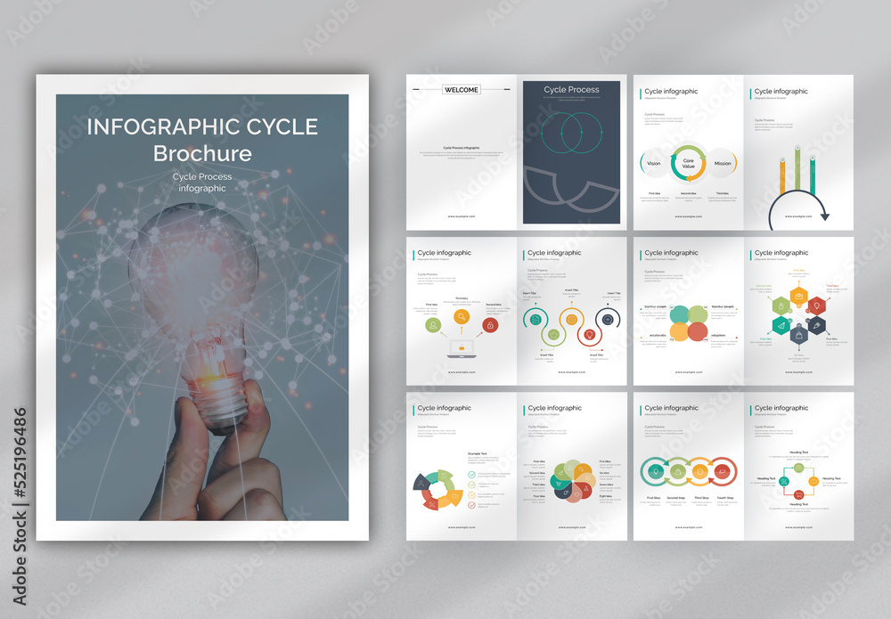 Infographic Cycle Brochure Stock Template | Adobe Stock