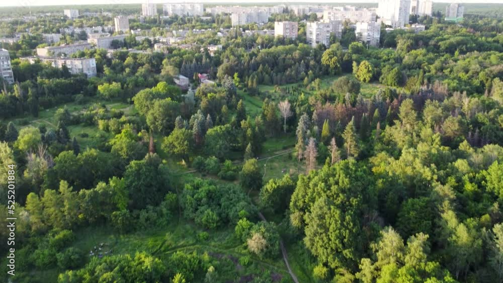 Green vivid trees greenery in city park aerial fpv drone flight footage ...