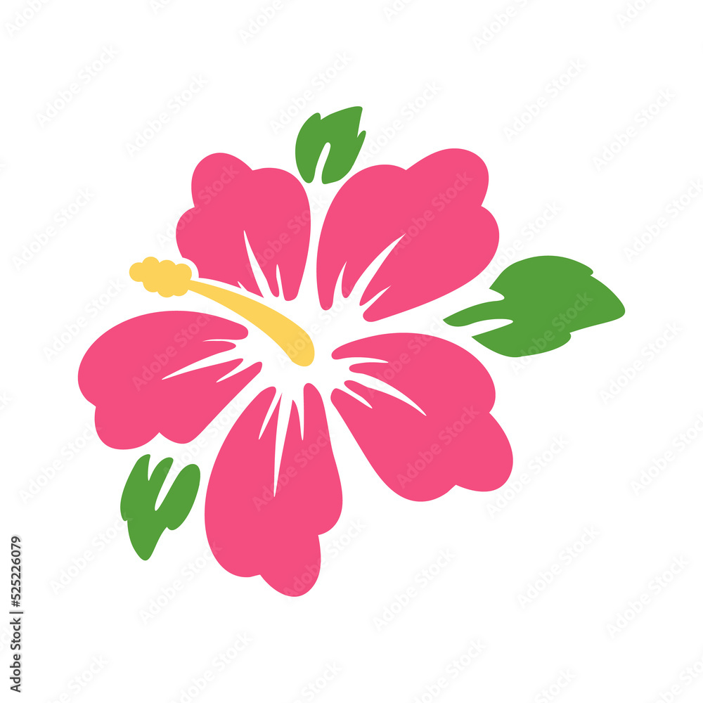 Pink hibiscus flower vector Isolated on white background Stock ...