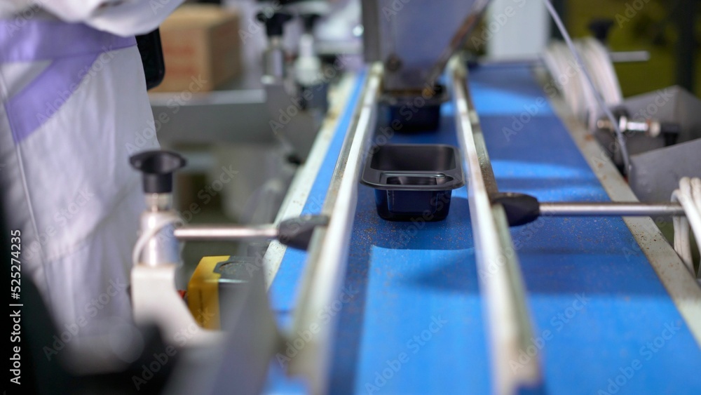 Black molds on the conveyor. Line production at the factory. A woman ...