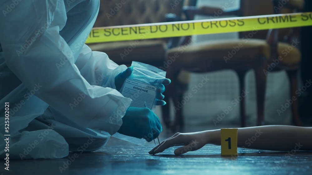 Detective Collecting Evidence in a Crime Scene. Forensic Specialists ...