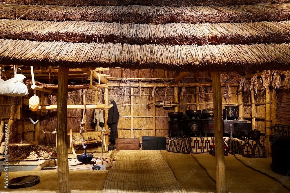 Poster aboriginal Ainu culture, Japan, japon – Tableau | Europosters