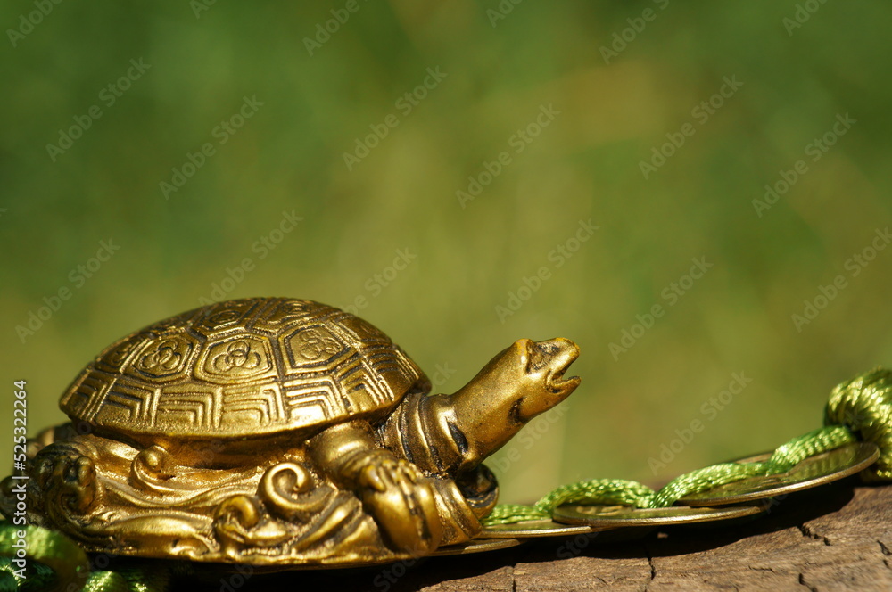 Turtle figurine with Chinese coins. A religious symbol. Feng shui ...