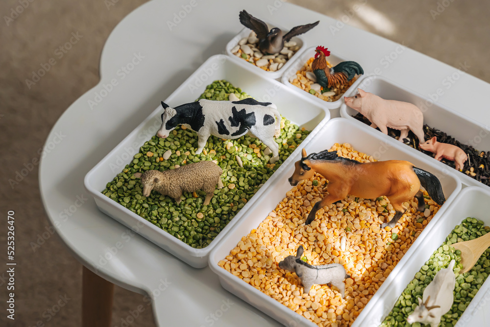 Farm animals in sensory bin. Educational game. Learning through play ...