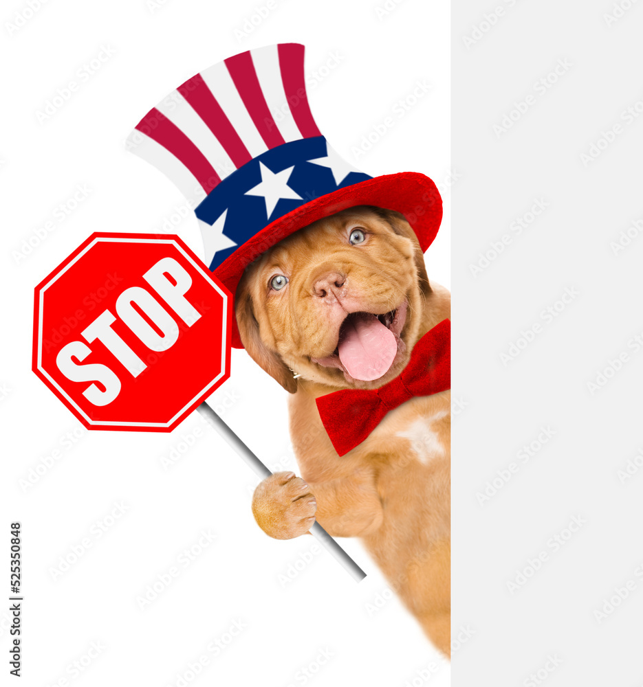 Happy Mastiff puppy wearing like Uncle Sam holds stop sign. isolated on ...