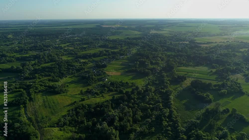 Aerial view beautiful landscape in summer. Drone flying over field in ...